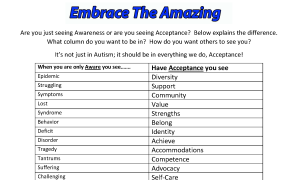 Embrace The Amazing Flyer Autism
